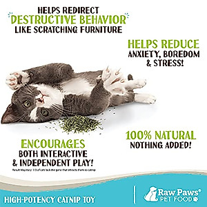 Raw Paws Natural Catnip for Cats, 1-oz - Use for Refillable Catnip Toys for Cats - Catnip Treats for Cats - Catnip for Dogs - Cat Nip Cat Grass - Dog Catnip - Dried Catnip Leaves & Seeds