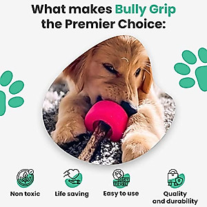 Bully Stick Holder for Dogs - Size Small Interactive Dog Toy, Dog Treat Holder, Slow Feeder, Treat Dispenser, Chew Toy and Dog Safety Device