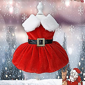 BDYJY Small Puppy Clothes for Girls Christmas Santa Dog Christmas Outfit Thermal Holiday Puppy Costume Dress Pet Clothes Angel Dog Outfit (Black, M)