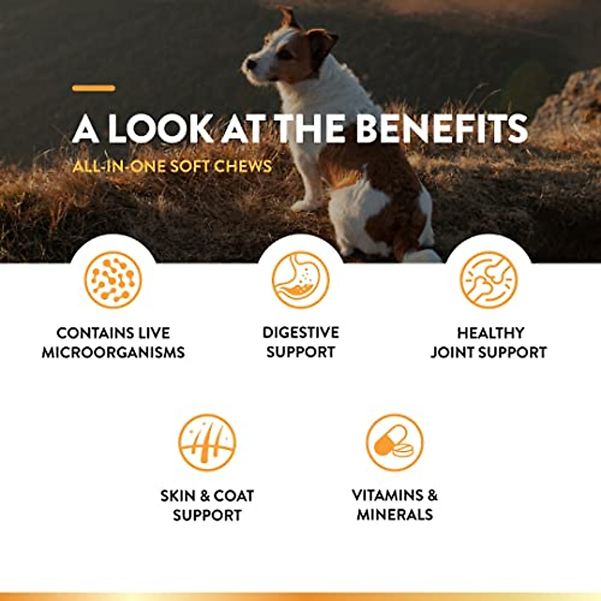 NaturVet All-in-One Dog Supplement - for Joint Support, Digestion, Skin, Coat Care – Dog Multivitamins with Minerals, Omega-3, 6, 9 – Wheat-Free Vitamins for Dogs – 120 Soft Chews