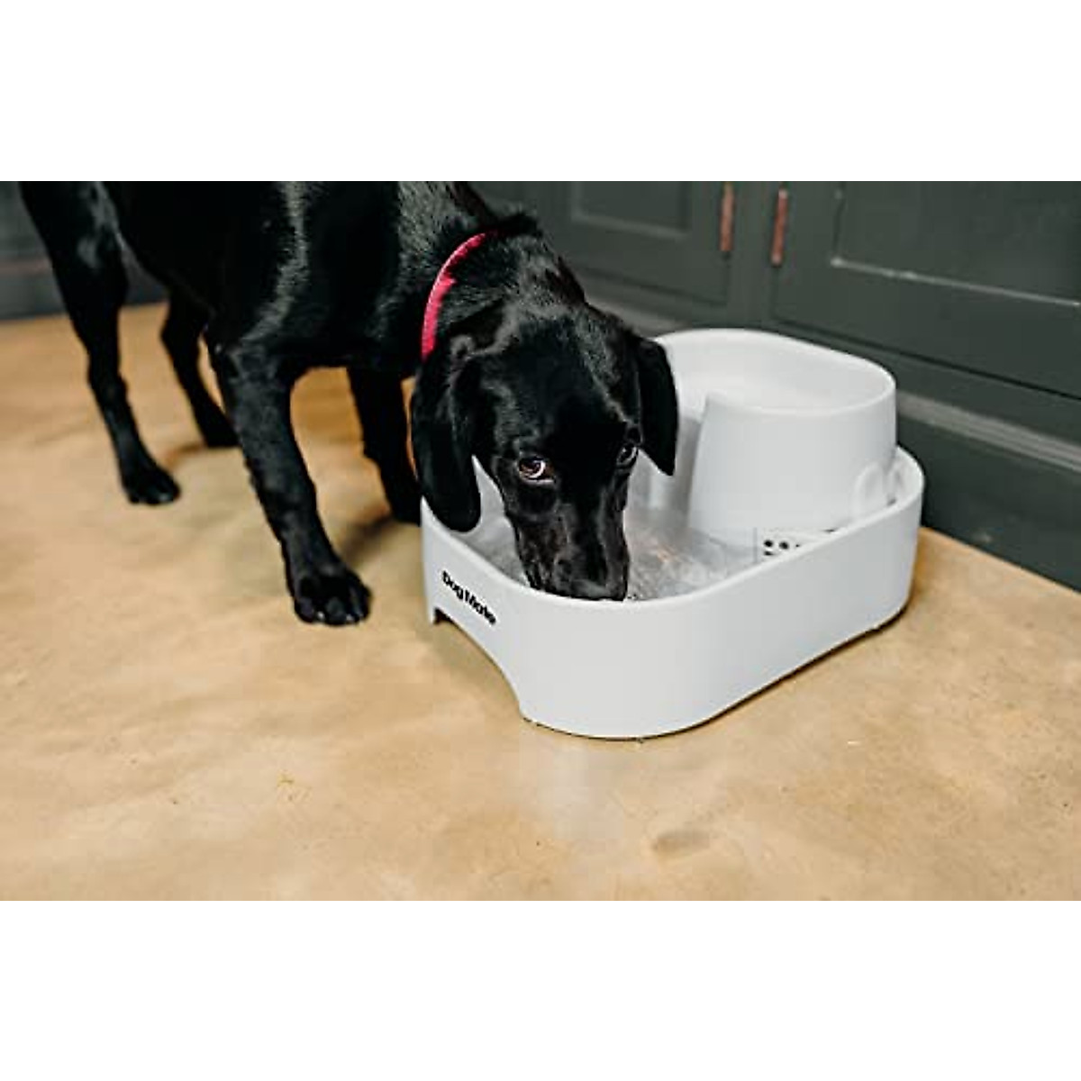 Dog Mate Large Fresh Water Drinking Fountain For Dogs And Cats
