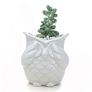 YONGYAN Owl Flower Pot Statue Decoration Ceramics Garden Planters Containers Pot Bookshelf Office Desktop Decor