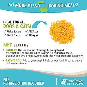 Raw Paws Boost Pet Food Topper Freeze-Dried Cheese, 3.6-oz - Made in USA - Dog Food Toppers for Picky Eaters - Dog Cheese Treats Dog Food Seasoning - Dog Meal Toppers for Dogs, Kibble Toppers for Dogs