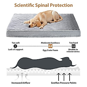 WNPETHOME Orthopedic Dog Beds for Large Dogs, Extra Large Waterproof Dog Bed with Removable Washable Cover & Anti-Slip Bottom, Egg Crate Foam Pet Bed Mat, Multi-Needle Quilting XL Dog Crate Bed