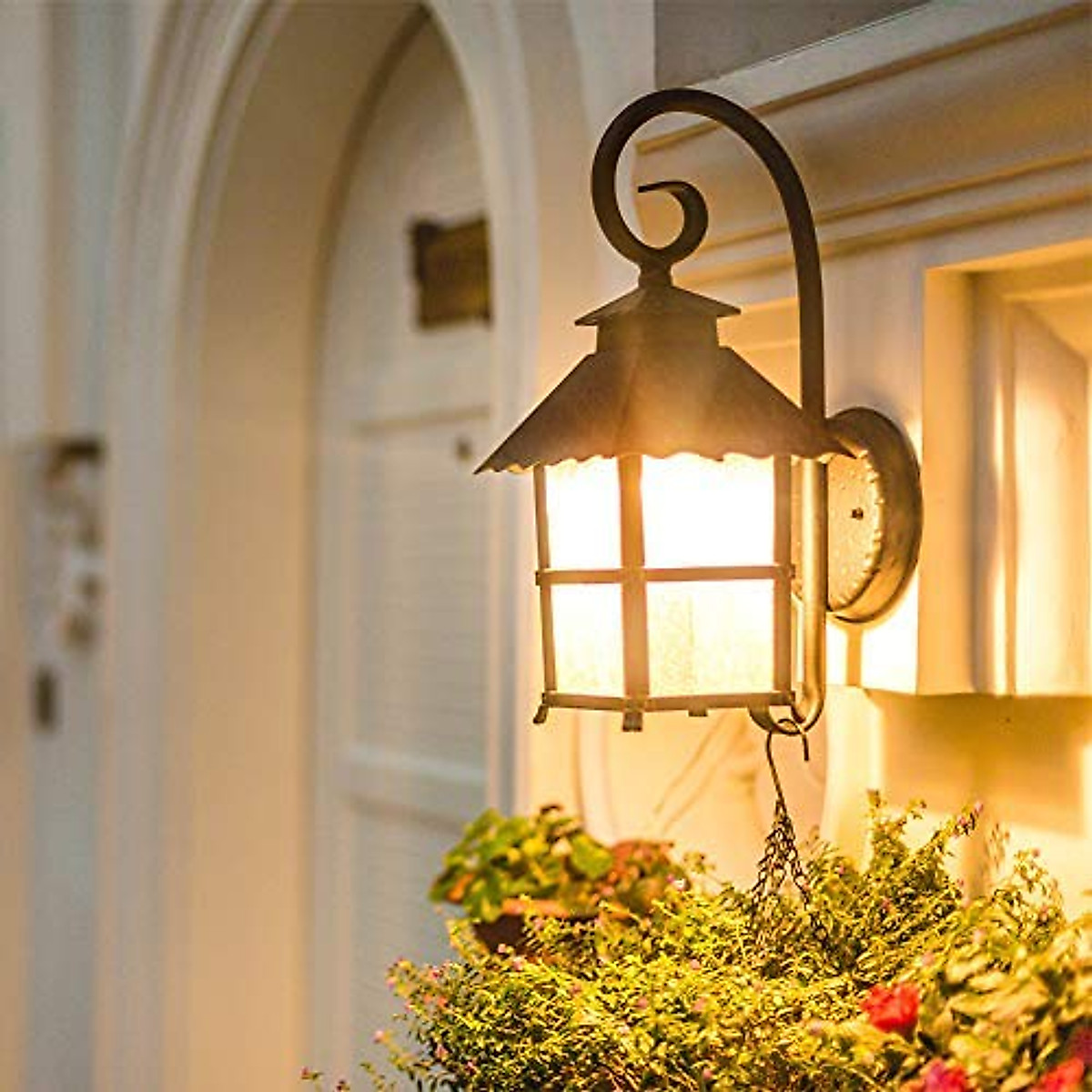 SumVibe G4 LED Bulb, 20W Halogen Bulb Replacement, 2 Watt G4 Bulbs Bi-Pin Base, AC/DC 12 Volt Warm White 3000K, Non-Dimmable, 10-Pack