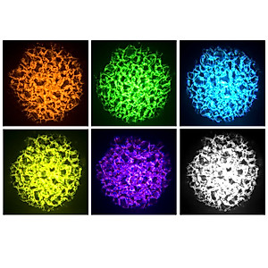 American DJ H20 LED Powered Water and Fire Effect Light