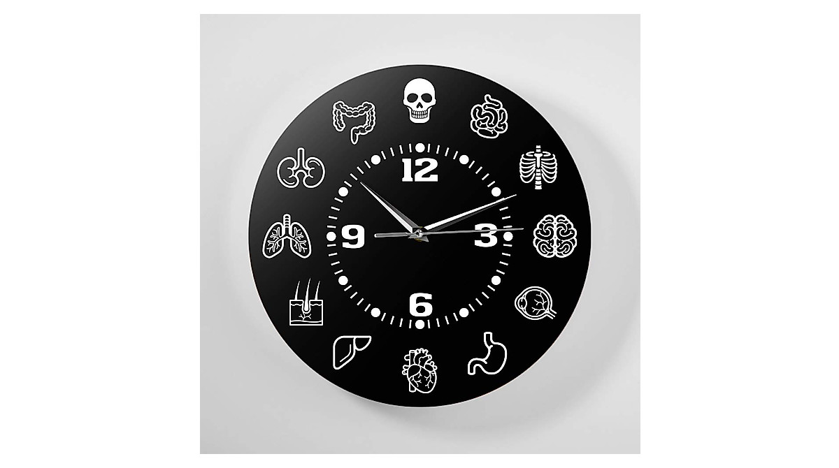 Anatomical Wall Clock - Unique Gift for Doctors & Students