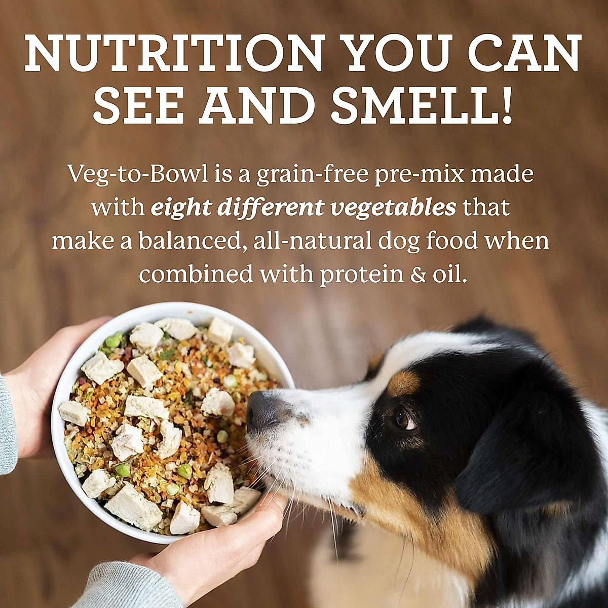 Dr. Harvey's Veg-to-Bowl Dog Food, Human Grade Dehydrated Base Mix for Dogs, Grain Free Holistic Mix, Trial Size (6.5 Oz)