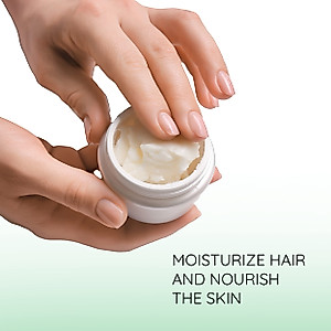 Clean and Green Mango Butter - 100% Natural Unscented Refined for DYI Hair Care and Skin Care Recipes in Premium Resealable Pouch, 14 oz (Mango Butter)