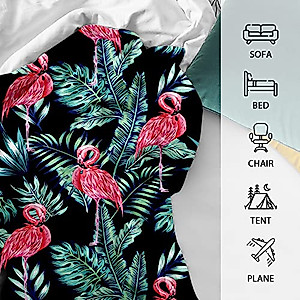 Ptvaivi Plush Fleece Flannel Blankets, Super Soft Lightweight Throw Blanket 50x60 Inch Warm Cozy Blanket for Travel Camping Car (Pink Flamingo)