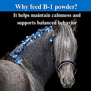 SU-PER B-1 Horse Calming Supplement - Equine Vitamin B-1 Support Horse Calmer Powder - Appetite Booster Supplement for Horses - 2.5 Pounds, (2 Pack)