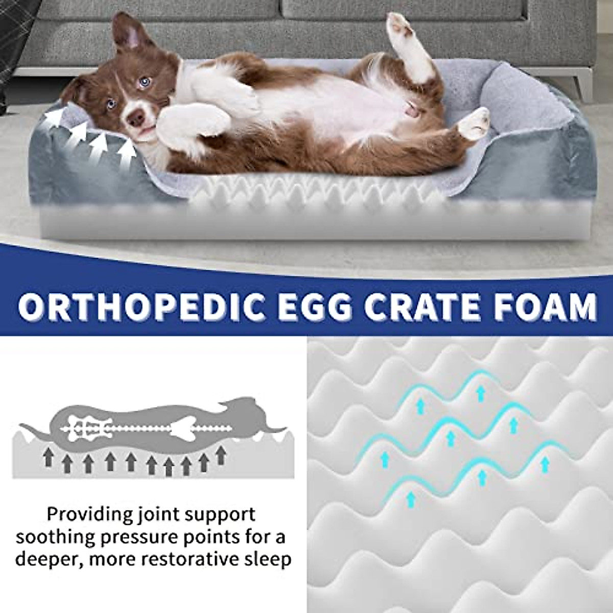 XueMi Orthopedic Dog Beds for Small Dogs, Washable Dog Beds with Soft Removable Cover, Waterproof Lining Small Pet Dog Beds Couch with Non-Slip Bottom