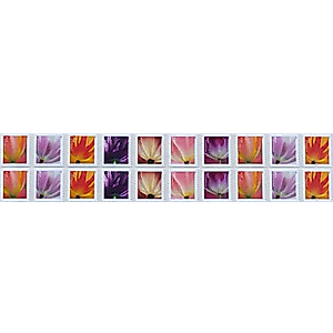 USPS 2023 Tulip Blossoms Forever First Class Postage Stamps (20 Count Strip)