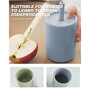 DF DUALFERV 2 Pcs Silicone Sippy Cup, Silicone Straw Cups for Toddlers, Baby Straw Cup, Silicone Sippy Cups for Baby 6 Months (Blue, Green)