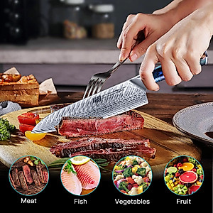 FINDKING Nebula Series Chef Knife with ABS Sheath, Multipurpose Japanese Gyuto Knife, 10Cr15CoMov Damascus Steel Blade, Resin and Figured Sycamore wood Handle, Full Tang, 8 Inch, Blue, for Meat