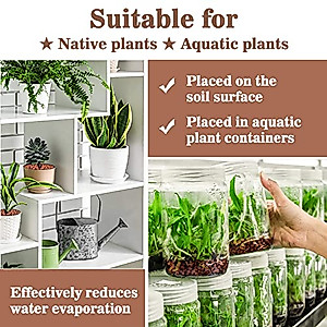 Sukh Clay Pebbles for Plants - Pebbles for Indoor Plants 100% Natural Clay, Used for Drainage, Decoration, Aquaponics, Hydroponics and Other Gardening Essentials Hydroton Small Pebbles Leca for Plants