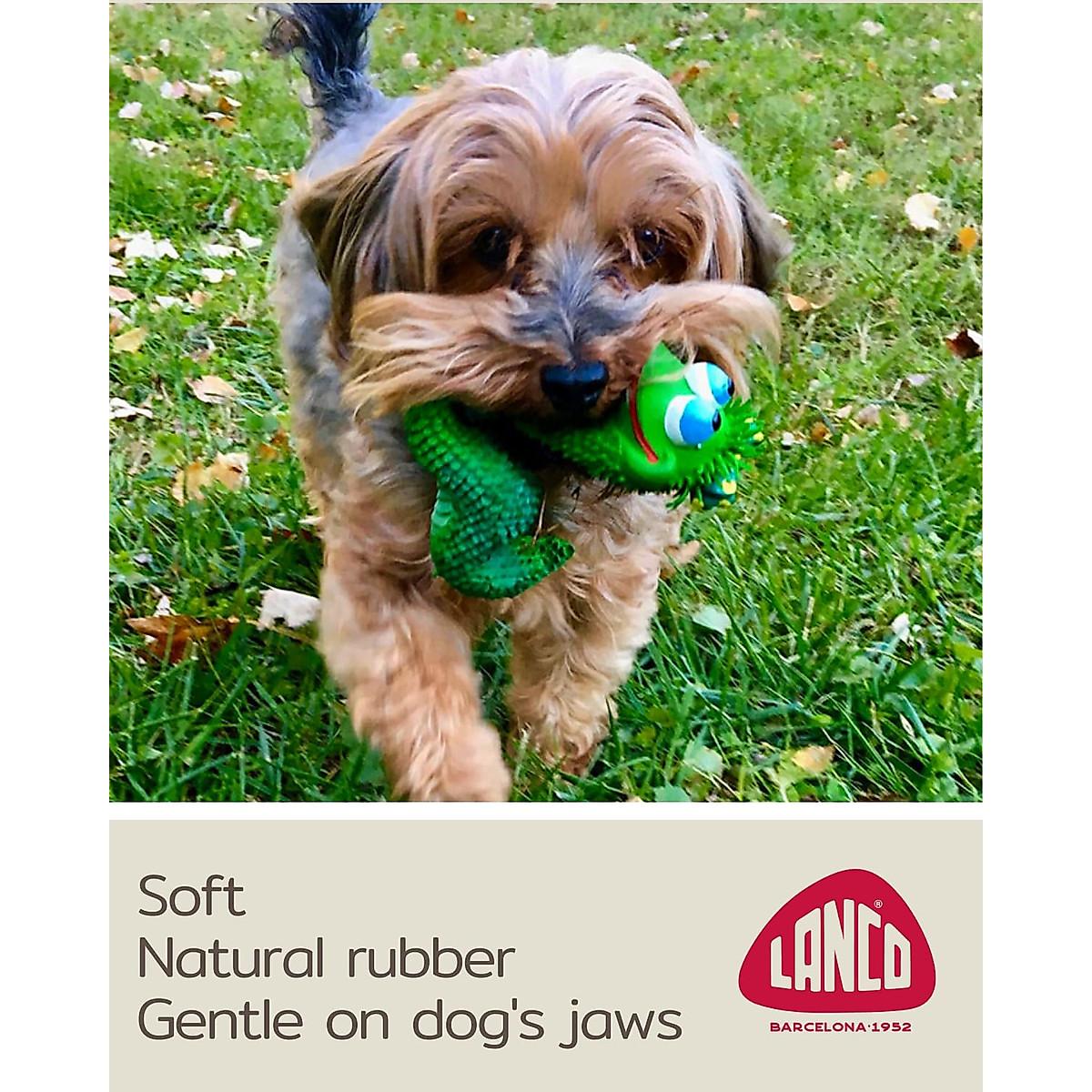 Smiley Snake Sensory Squeaky Rubber Dog Toy for Small & Medium Dogs (Green) Natural Rubber (Latex) Lead Chemical-Free Soft Unstuffed