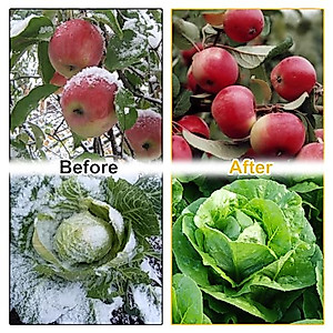 10 X 30FT Plant Covers Freeze Protection, White Nonwoven Fabric Frost Blankets for Outdoor Plants with 20Pcs Stainless Steel Clips, Plant Covers for Winter Greenhouse Frost Sun Shade Protection