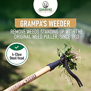 Grampa's Weeder - The Original Stand Up Weed Puller Tool with Long Handle - Made with Real Bamboo & 4-Claw Steel Head Design - Easily Remove Weeds Without Bending, Pulling, or Kneeling
