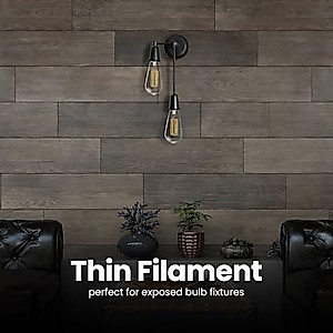 Feit Electric ST19 Vintage Edison LED Light Bulb, 40W Equivalent, Dimmable, 2700K Soft White, E26 Base, Clear Glass Thin Filament Lighting Bulbs, 15,000-Hour Lifetime, ST1940/927CATFIL/2, 2 Pack