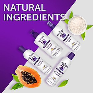 Fairy Tales Daily Cleanse Kids Body Wash, Everyday Body Wash for Kids and Toddler- Soap for Bath or Shower, No Harsh Chemicals or Toxins - 16oz