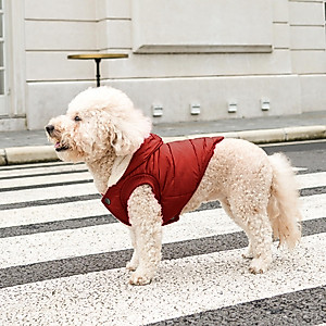 Vecomfy Fleece Lining Extra Warm Dog Hoodie in Winter,Small Dog Jacket Puppy Coats with Hooded,Red XS