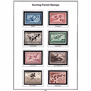 Showgard Pre-Cut Black Stamp Mounts Size JV25/40