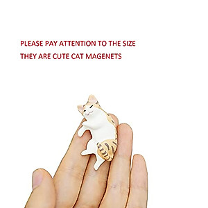 Cute 6 Pack Fun Cat Refrigerator Magnets Office Magnet Cute Magnets for Fridge 3D Cat Refrigerator Magnet Set 6 Pack,Decoration for Kitchen,House,Office,Whiteboard
