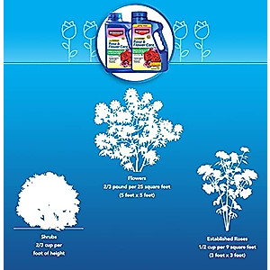 BioAdvanced 2-In-1 Systemic Rose and Flower Care, Granules, 10 lb