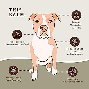 Natural Dog Company PawTection Dog Paw Balm, Protects Paws from Hot Surfaces, Sand, Salt, & Snow, Organic, All Natural Ingredients (0.15 oz Trial Stick)