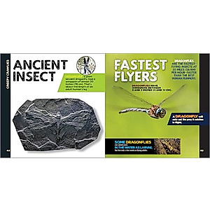 The Fascinating Animal Book for Kids: 500 Wild Facts! (Fascinating Facts)