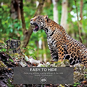 WOSPORTS Mini Trail Camera 2 Pack, 24MP 1080P HD Game Camera with SD Card and 8AA Batteries, Fast Trigger Time Infrared Night Vision Hunting Camera for Wildlife Monitoring