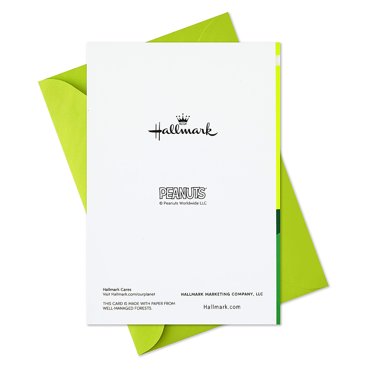 Hallmark Peanuts Pack of St. Patricks Day Cards, Lucky Snoopy (6 Cards with Envelopes)