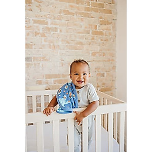 Copper Pearl Baby Security Blanket Set of 2 - Portable Size for Self-Soothing On-The-Go, Ideal Baby Blankets for Boys and Girls, Ultra-Soft, and Gift-Ready Loveys - Cookie Monster