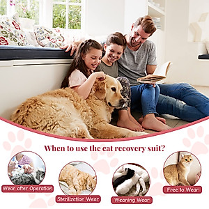 URROMA 1 PC Cat Soft Recovery Suit, Cat Sterilization Bandage Suit Cat Surgery E-Collar Alternative Recovery Protective Shirt Surgery Pets Clothing Pajamas, M