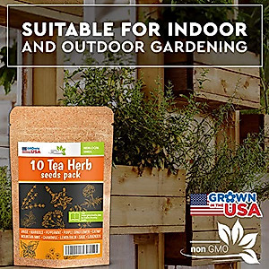10 Herbal and Medical Tea Seeds Pack - Heirloom and Non GMO, Grown in USA - Indoor or Outdoor Garden - Chamomile, Lavender, Mint, Lemon Balm, Catnip, Peppermint, Anise, Coneflower Echinacea & More
