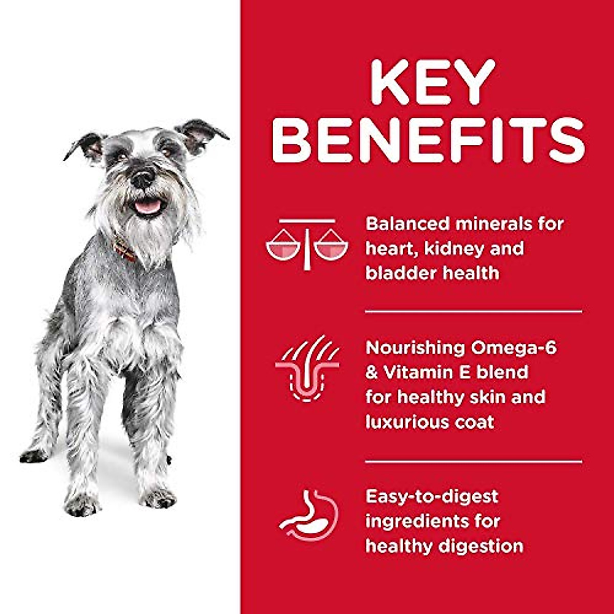 Hill's Science Diet Dry Dog Food, Adult 7+, Senior Dogs, Small Paws for Small Breeds, Chicken Meal, Barley & Brown Rice Recipe, 4.5 lb Bag