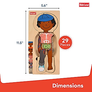 Kidzlane Boy Wooden My Body Puzzle for Toddlers & Kids - 29 Piece Boys Anatomy Puzzle Kid Play Set - Anatomy for Kids, Skeleton Toys for Kids Ages 3 Plus