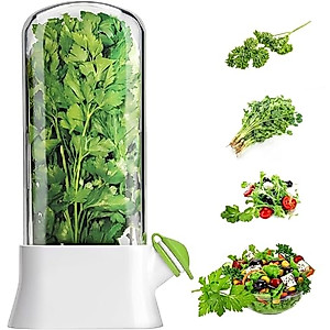 XALVA Herb Saver Pod for Refrigerator - 1 Pack Space-Saving Fresh Herb Keeper for Refrigerator - Herb Preserver for Cilantro, Mint & Asparagus - Cilantro Container for Fridge - Fresh Herb Storage