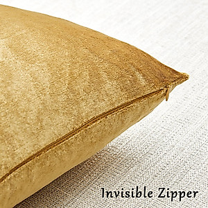 GIGIZAZA Gold Velvet Decorative Throw Pillow Covers,18x18 Pillow Covers for Couch Sofa Bed 2 Pack Soft Cushion Covers
