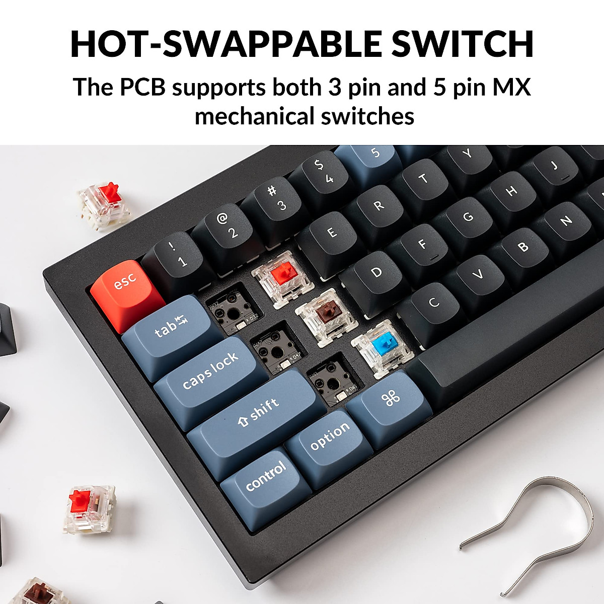 Keychron Q2 Wired Custom Mechanical Keyboard Knob Version, 65% Layout QMK/VIA Programmable Macro with Hot-swappable Gateron G Pro Blue Switch Double Gasket Compatible with Mac Windows Linux (Black)