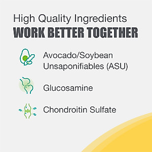 Nutramax Laboratories Dasuquin with MSM Joint Health Supplement for Large Dogs - With Glucosamine,MSM,Chondroitin,ASU,Boswellia Serrata Extract,and Green Tea Extract,2 Pack,300 Total Chewable Tablets