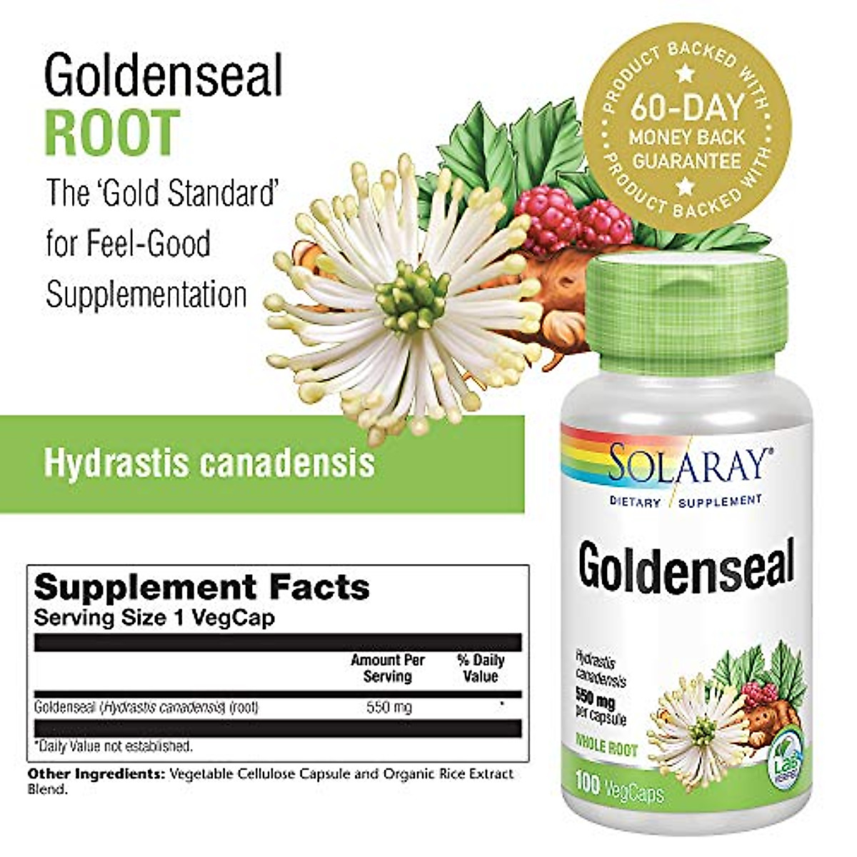 SOLARAY Goldenseal Root 550mg | Healthy Digestion, Immune Function & Respiratory Support | Whole Root | Non-GMO, Vegan & Lab Verified | 100 VegCaps