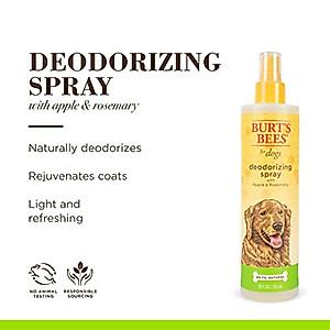 Burt's Bees for Pets Natural Deodorizing Spray for Dogs | Best Dog Spray for Smelly Dogs | Made with Apple & Rosemary | Cruelty Free, Sulfate & Paraben Free, pH Balanced for Dogs - Made in USA, 10 oz