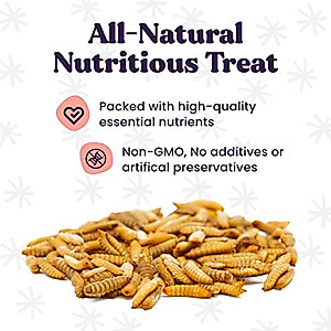 Foragers Feed Whole Dried Black Soldier Fly Larvae, Sustainable Chicken and Livestock Feed for Animal Health, 1 Lb Resealable Bag