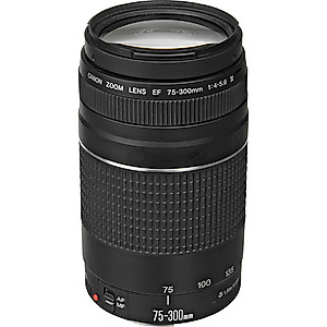 Canon EOS 250D (Rebel SL3) DSLR Camera with 18-55mm f/3.5-5.6 III Zoom Lens & 75-300mm III Lens Bundle + 64GB Memory, Case, Tripod, Filters and More
