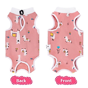 2 PCS Cat Recovery Suit for Spay Abdominal Wounds, Cat Onesie for Cats After Surgery, Cat Surgery Recovery Suit Female Breathable E-Collar Alternative Kitten Onesie for Cats Anti Licking (Medium)