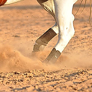 Classic Equine ProTech Hind Splint Boots, Black, Medium