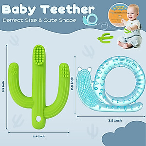 Silicone Baby Teething Toys Cold Frozen Teethers Toys Soothe Infant Baby Teething Relief Chew Toys, BPA Free Training Toothbrush for Babies 0-18 Months - Cactus and Snail