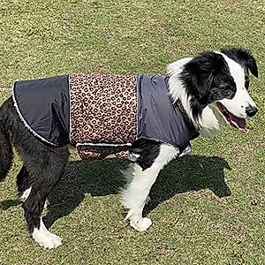 HonpraD Pet Clothes for Small Dogs Reflective Waterproof Pet Coat Winter Warm Dog Coat for Small Medium Large Dog